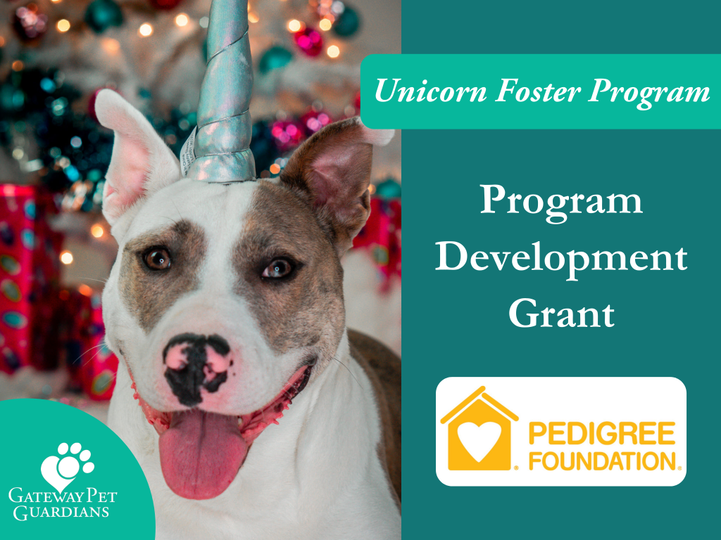 $10,000 Development Program Grant Awarded by PEDIGREE Foundation to ...