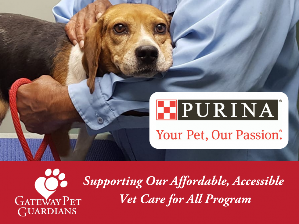 Gateway Pet Guardians Receives $15,000 Grant from Nestlé Purina PetCare ...