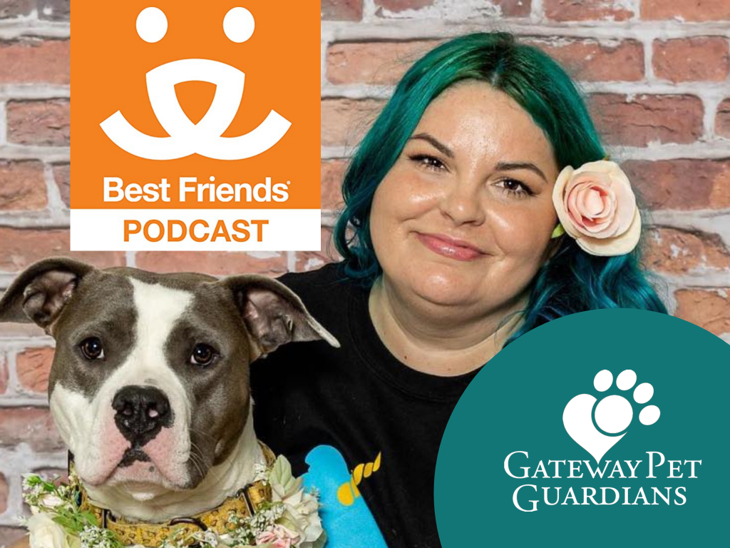 The Best Friends Podcast Episode 68 - Unicorn Foster Squad Program ...