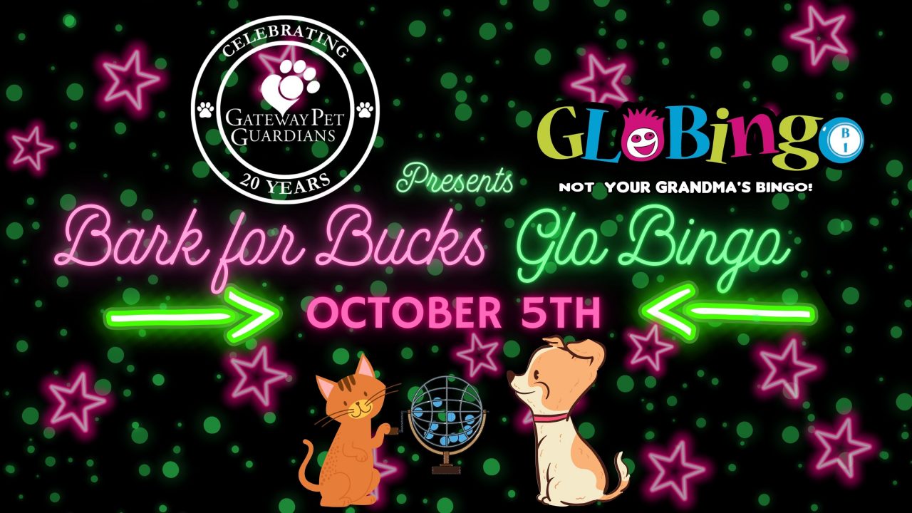 Bark for Bucks Glo Bingo - Gateway Pet Guardians
