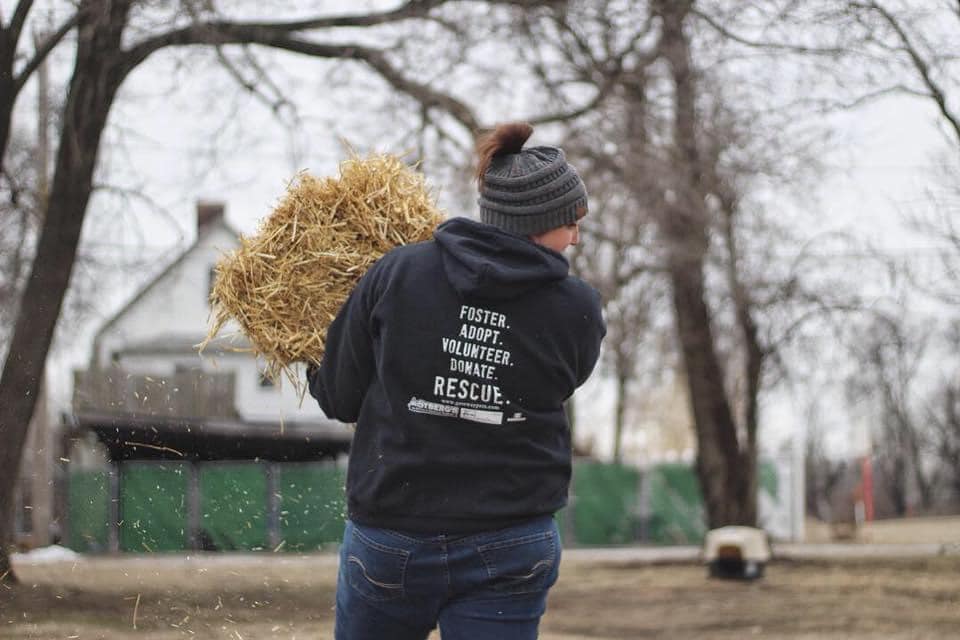 Home - Gateway Pet Guardians
